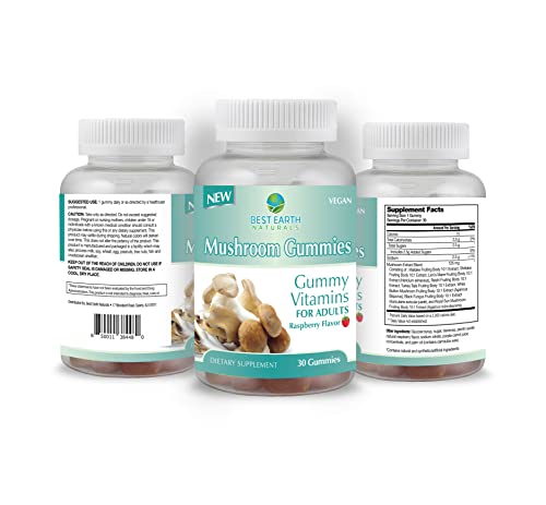 herbal mushroom supplements for everyday health