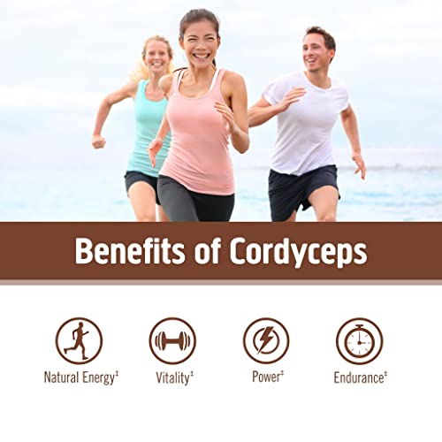 herbal mushrooms for athletic performance