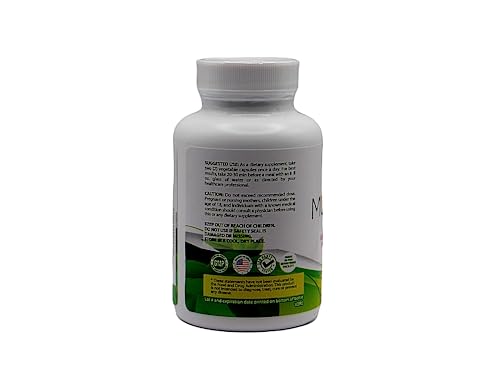 Herbal mushrooms for daily energy boost