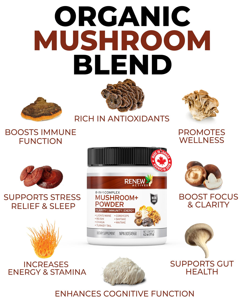 herbal mushrooms for daily vitality