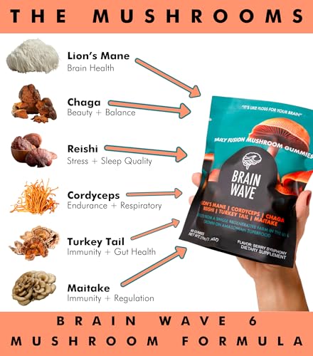 herbal mushrooms for daily wellness