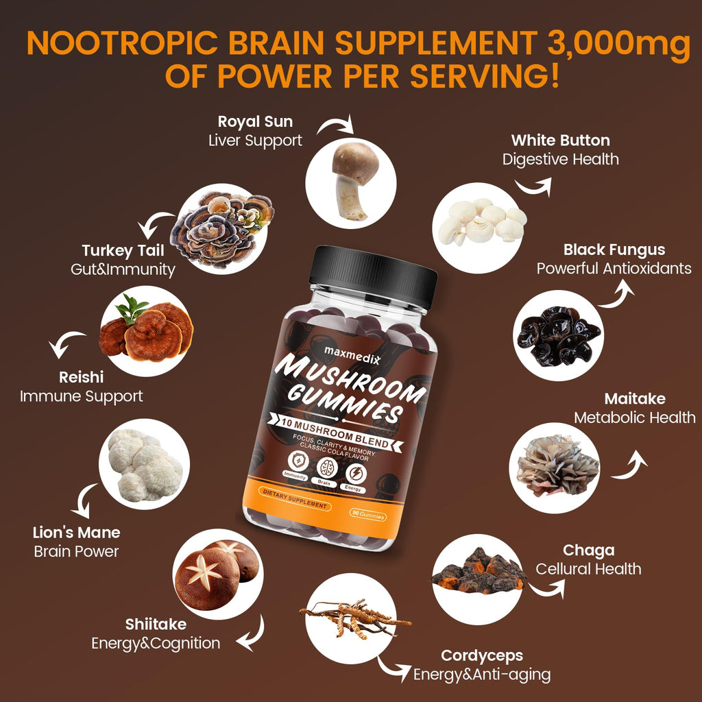 herbal mushrooms for daily wellness