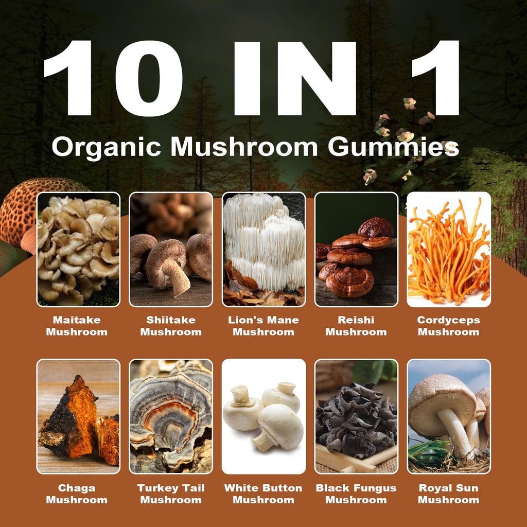 herbal mushrooms for daily wellness