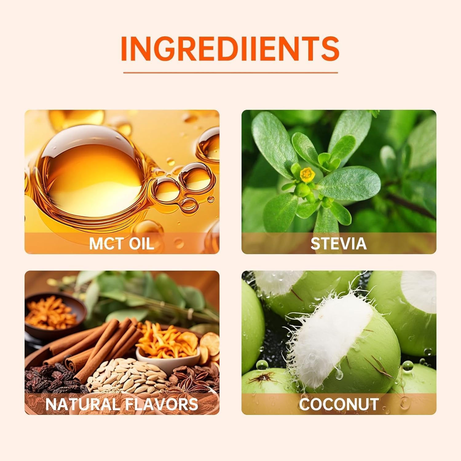 Herbal mushrooms for daily wellness