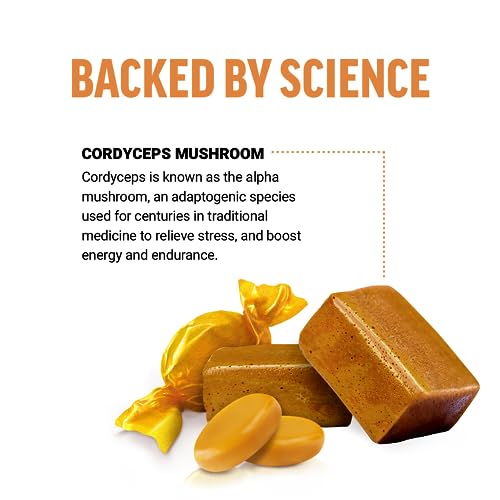 Herbal mushrooms for daily wellness