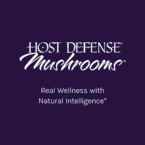 Herbal mushrooms for energy and focus