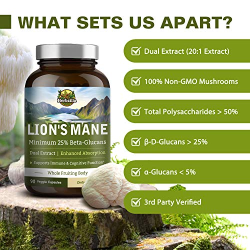 Herbal mushrooms for energy support