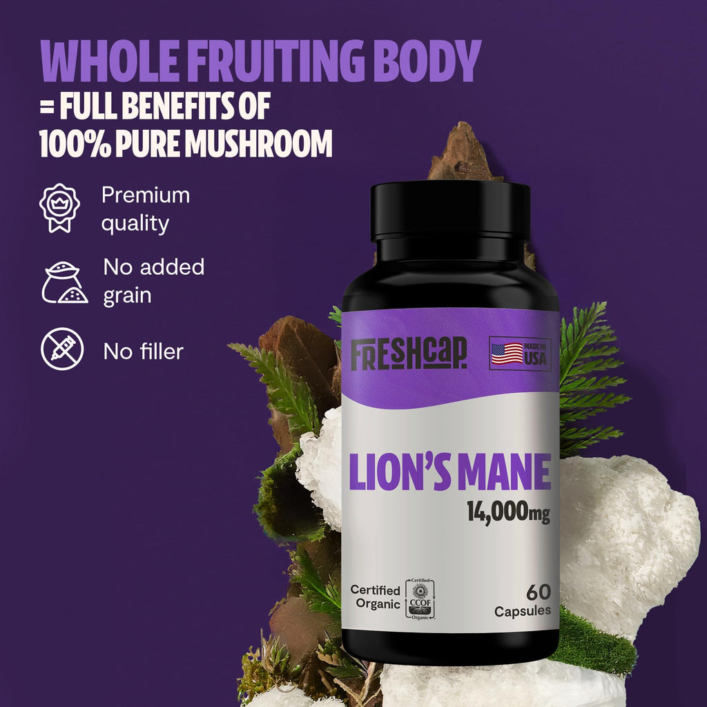 Herbal mushrooms for enhanced concentration