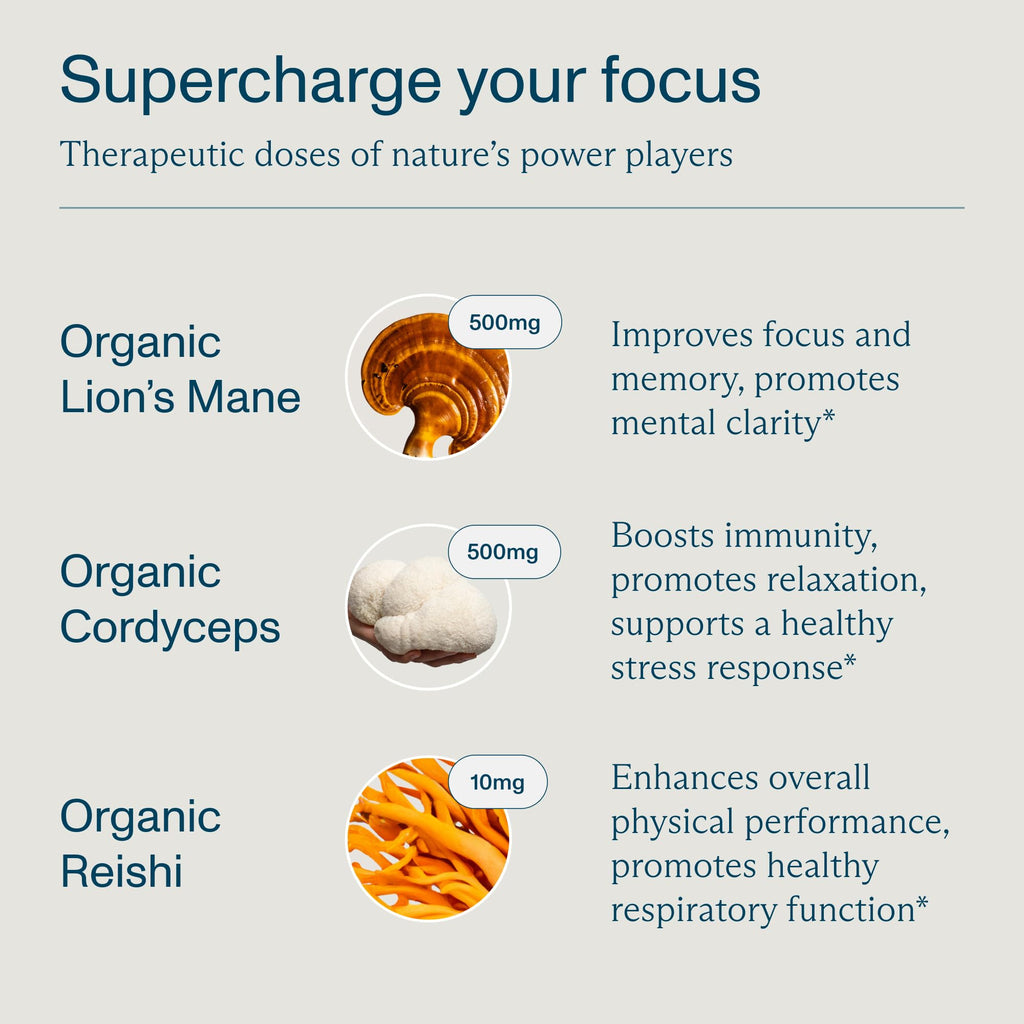 herbal mushrooms for enhanced focus