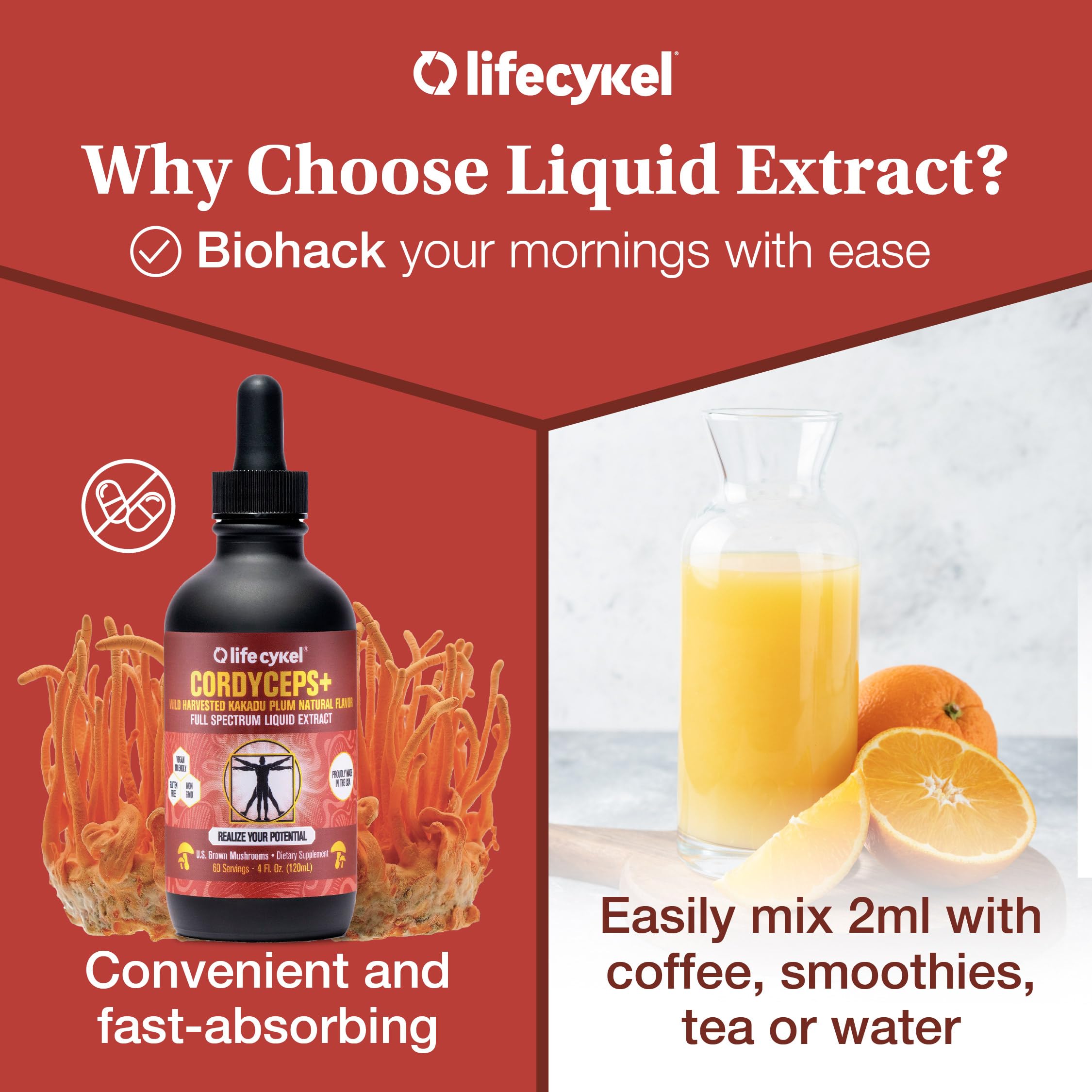 Herbal mushrooms for enhanced performance