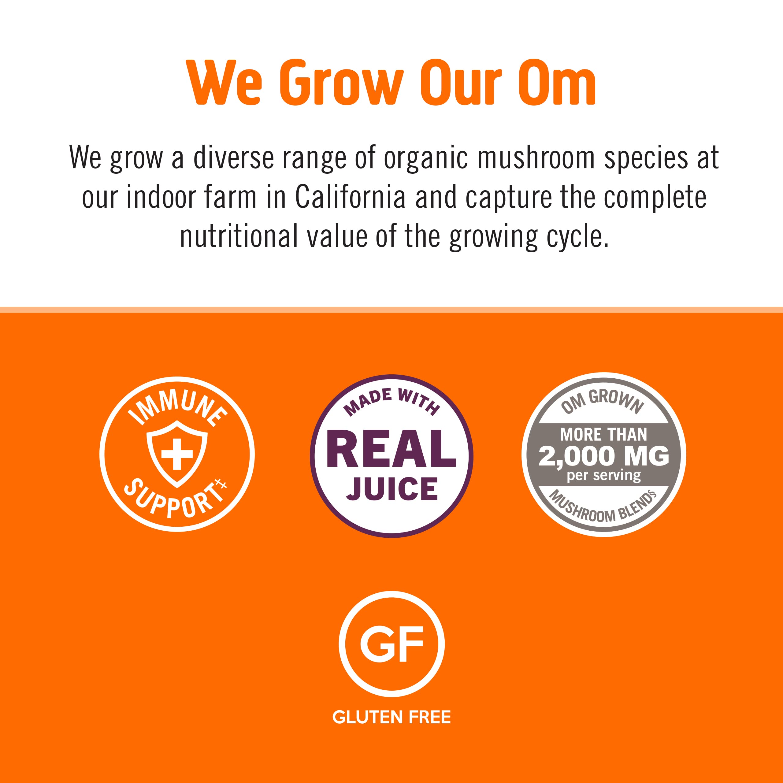 Herbal mushrooms for everyday health