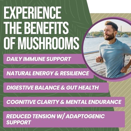 herbal mushrooms for everyday vitality