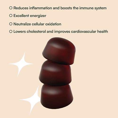 herbal mushrooms for everyday vitality
