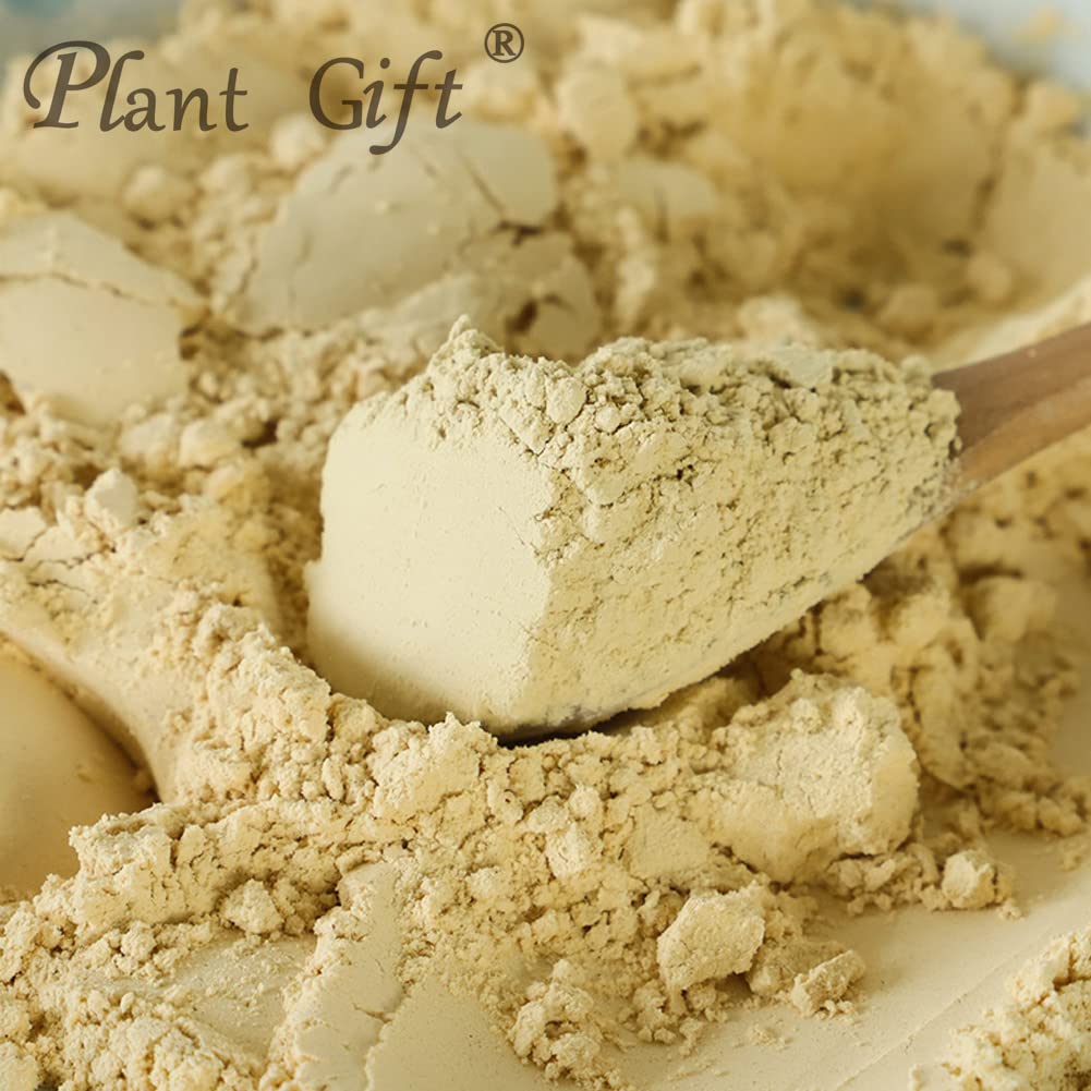 herbal mushrooms for health benefits