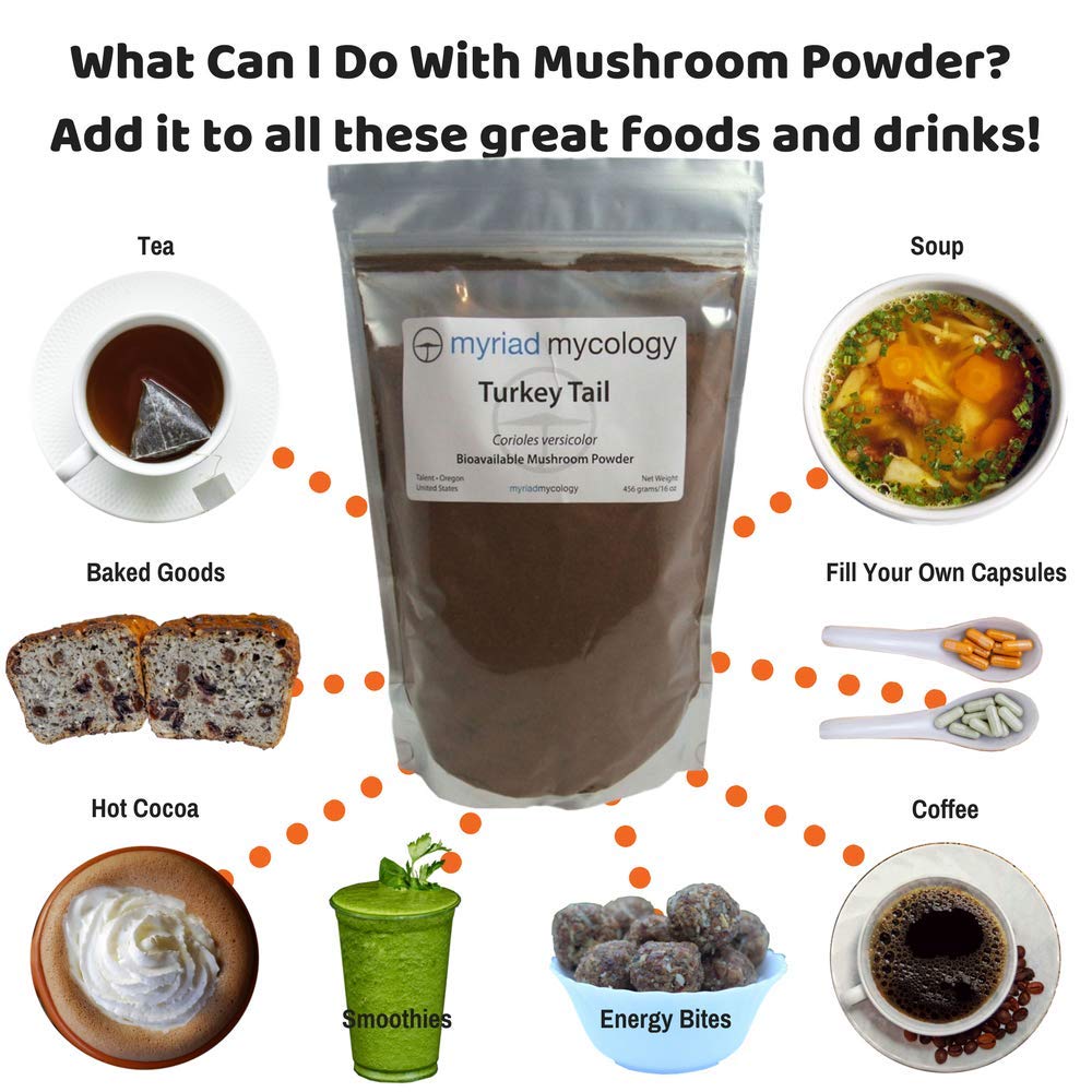 Herbal mushrooms for holistic health