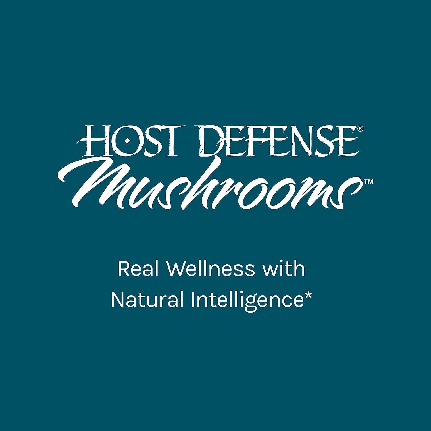 herbal mushrooms for holistic health