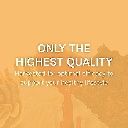 Herbal mushrooms for immune boost