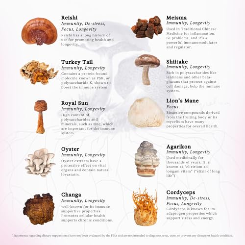 Herbal mushrooms for immune support
