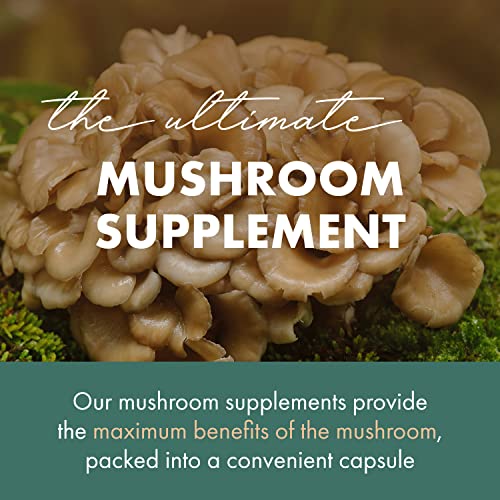 Herbal mushrooms for immune support