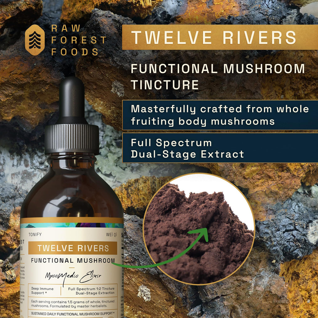 Herbal mushrooms for immune support