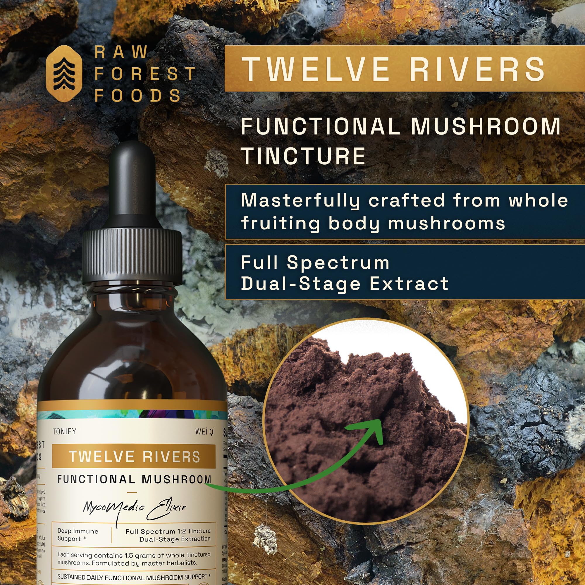 Herbal mushrooms for immune support