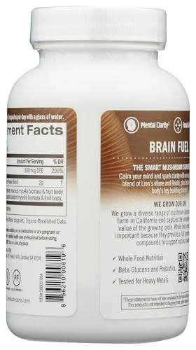 Herbal mushrooms for improved concentration