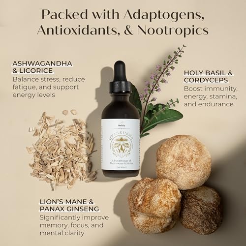 herbal mushrooms for mental clarity