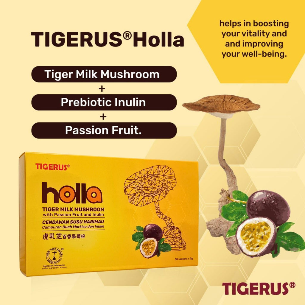 herbal mushrooms for natural wellness