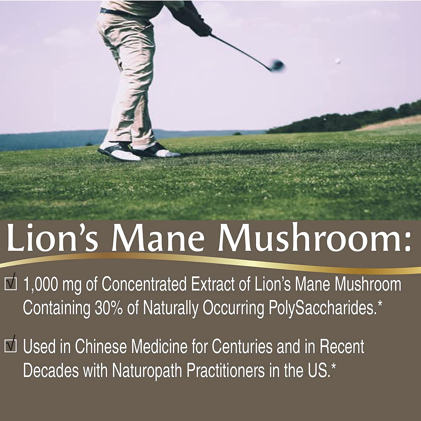 Herbal mushrooms for overall brain support