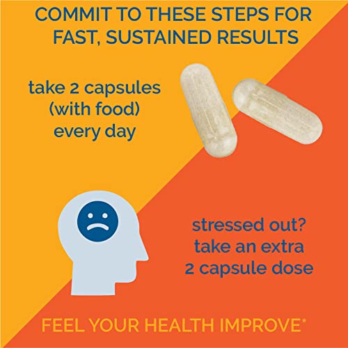 Herbal mushrooms for overall wellness