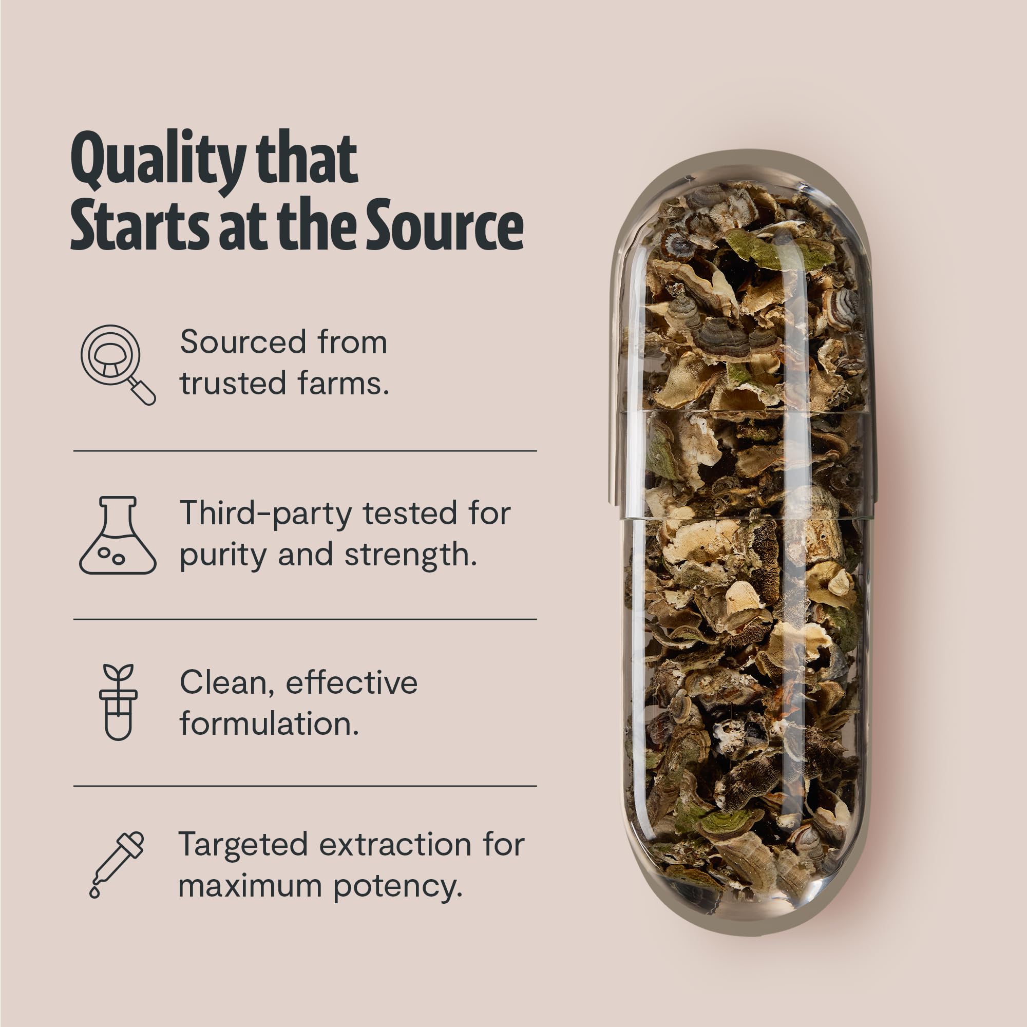 herbal mushrooms for overall wellness