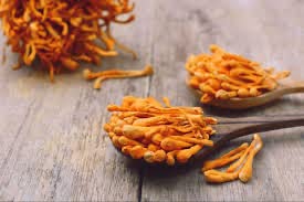 herbal mushrooms for overall wellness