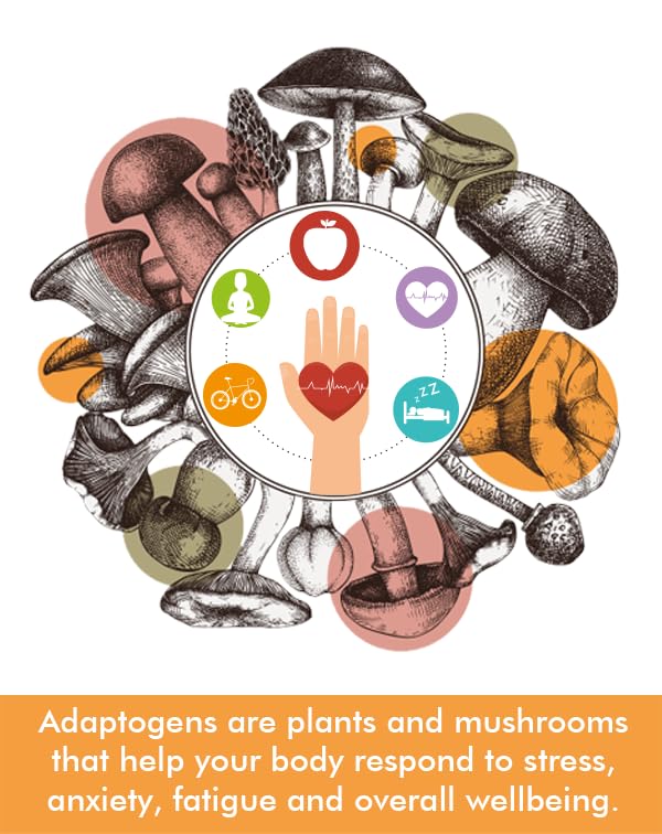 herbal mushrooms for relaxation
