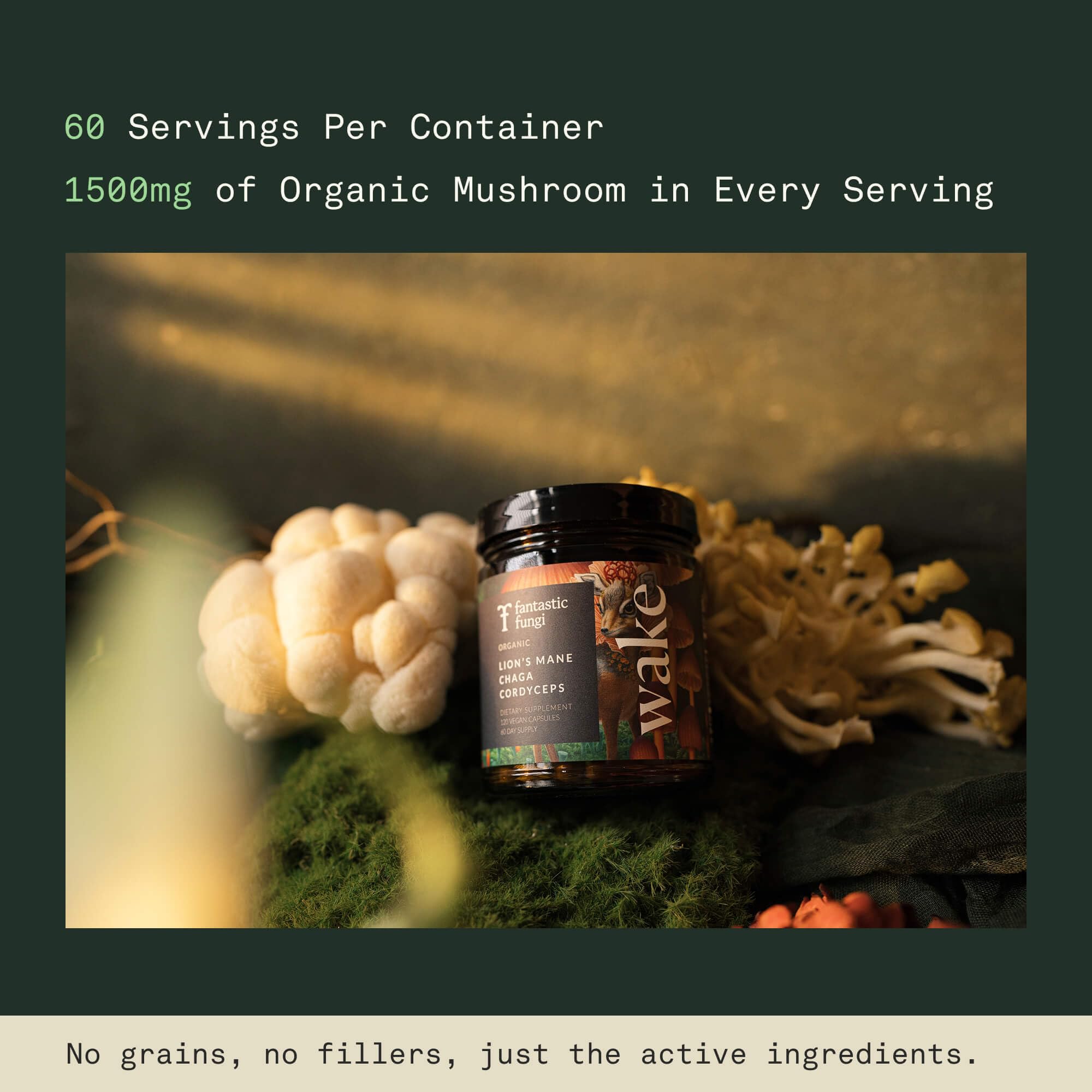 herbal mushrooms for stress relief