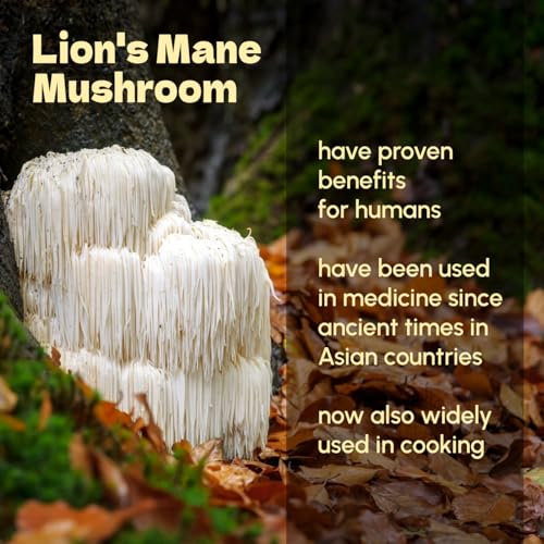 herbal mushrooms for stress relief