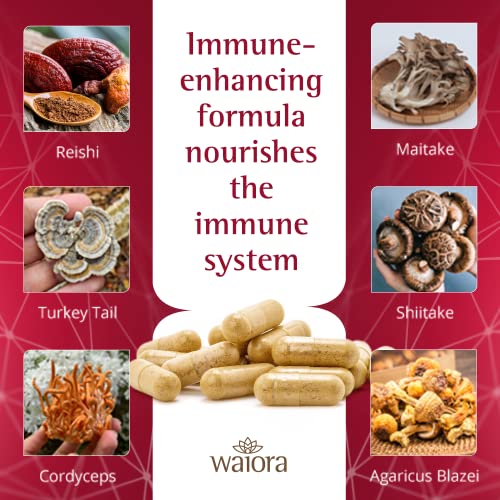 Herbal mushrooms for stress relief