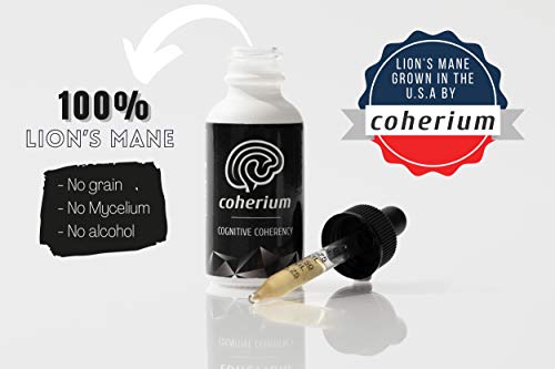 Herbal mushrooms to boost concentration