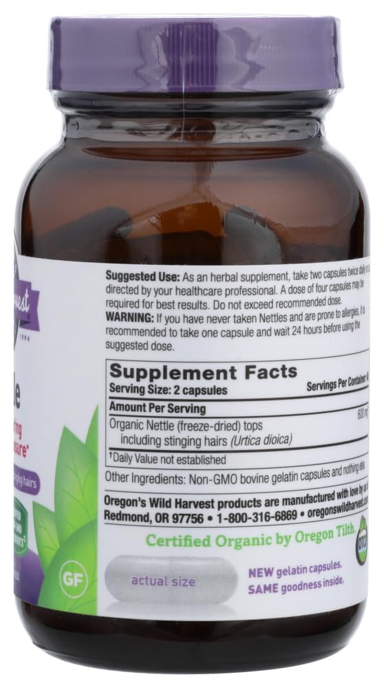 herbal nettle for digestive health