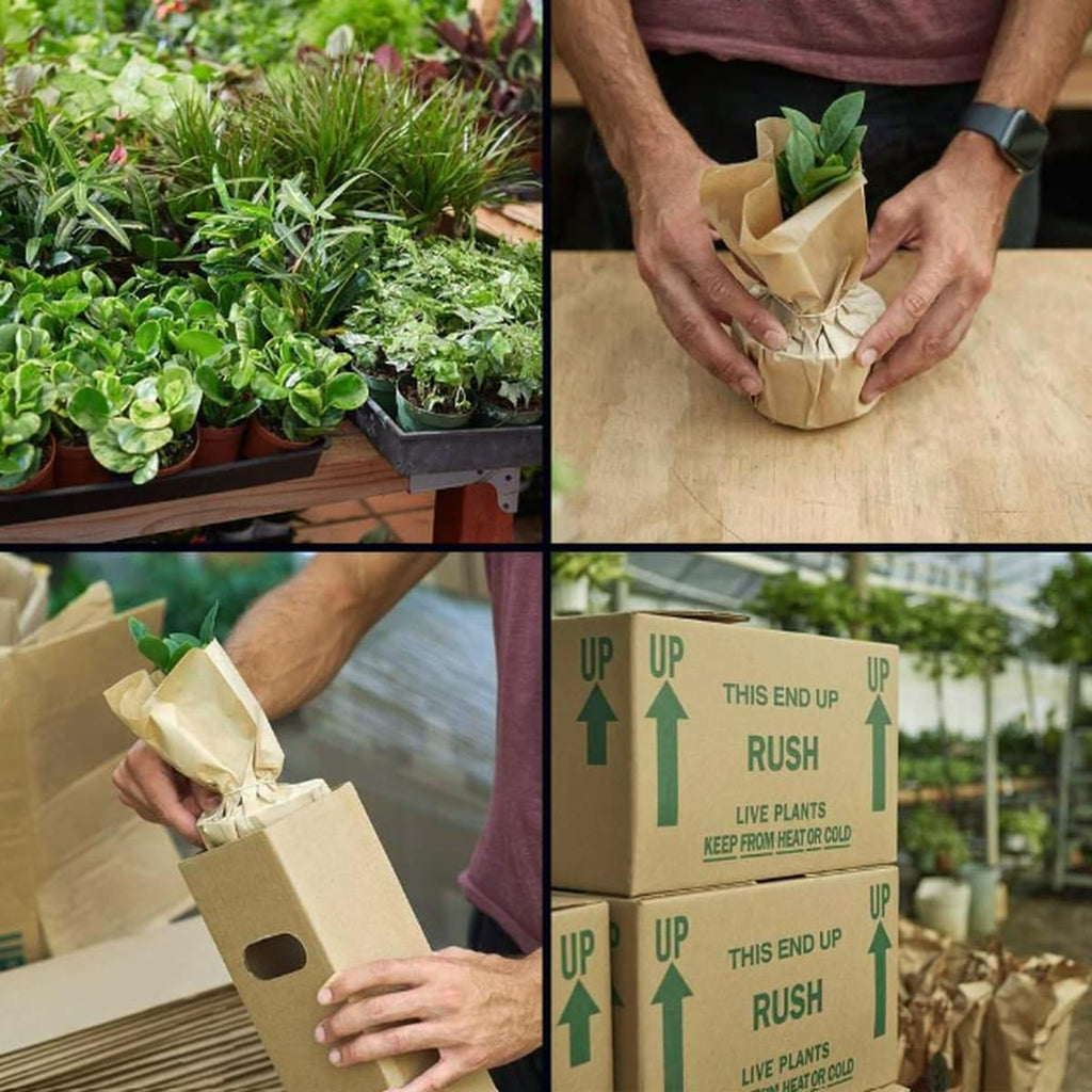 Herbal nettle for natural remedies