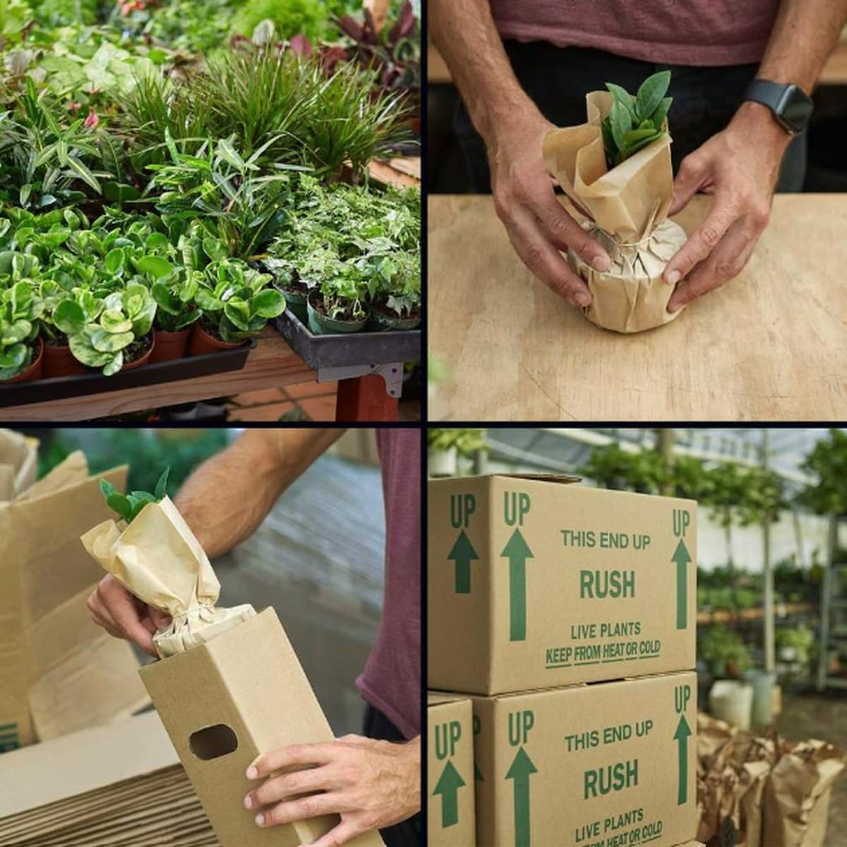 Herbal nettle for natural remedies