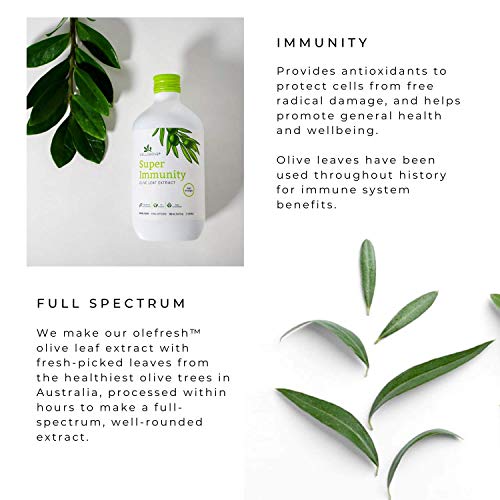 herbal olive leaf extract for vitality