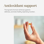 herbal oregano oil for wellness