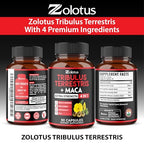 Herbal performance enhancement formula