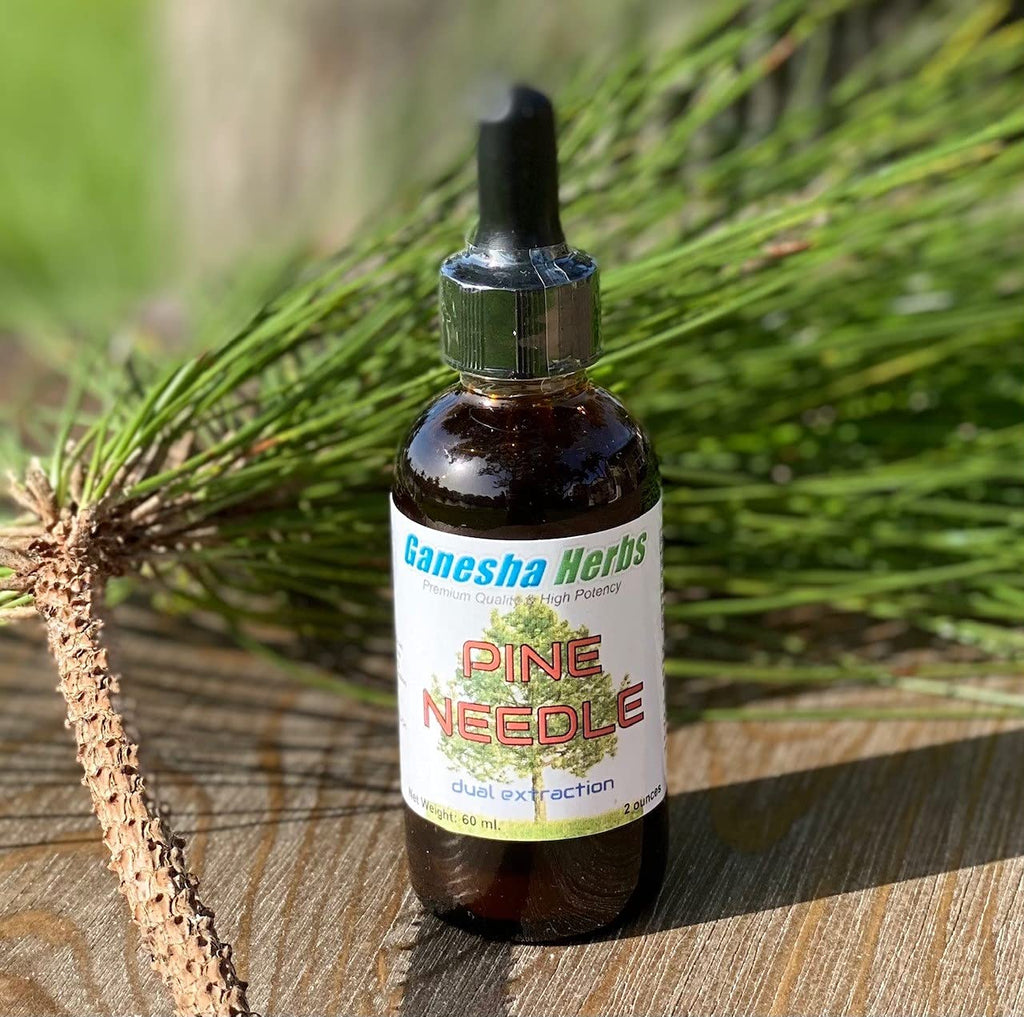 herbal pine needle tincture for vitality