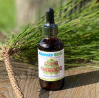 herbal pine needle tincture for vitality