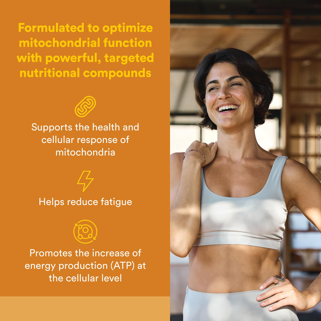 herbal powder for enhanced wellness