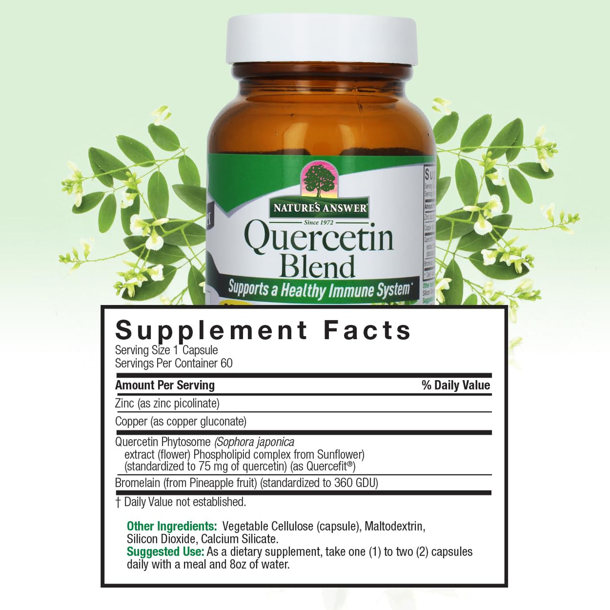 herbal quercetin capsules for wellness