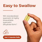 herbal quercetin for antioxidant support