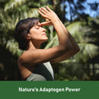 Herbal remedy ashwagandha capsules for vitality