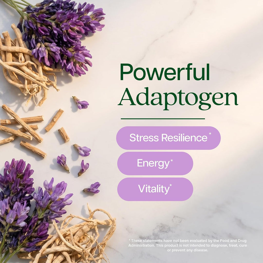 herbal remedy astragalus root extract
